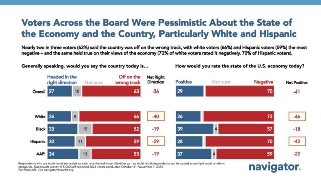 2024 Post-Election Survey: Racial Analysis of 2024 Election Results
