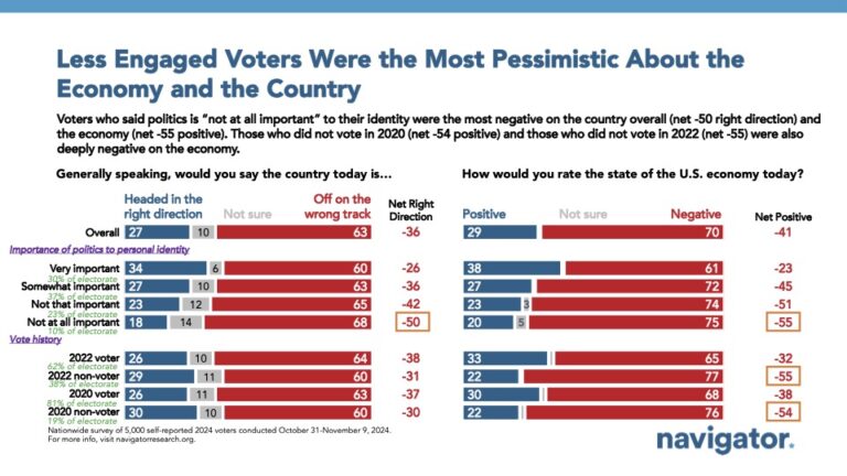 2024 Post-Election Survey: Engagement and Vote History Analysis