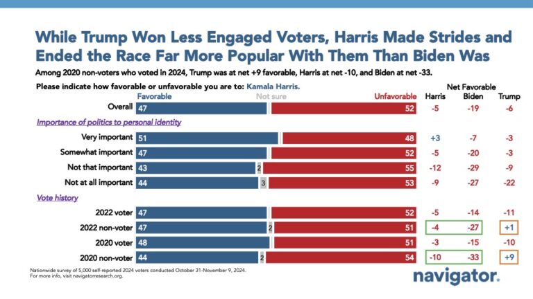 2024 Post-Election Survey: Engagement and Vote History Analysis