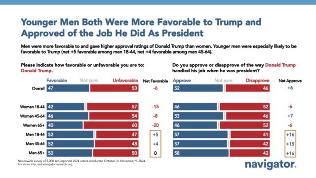 2024 Post-Election Survey: Gender and Age Analysis of 2024 Election Results